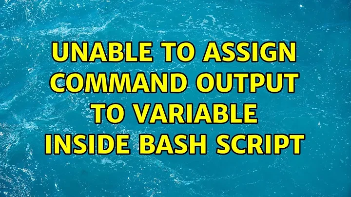 Solved How To Assign An Output To A Shellscript 9to5Answer solved-how-to-assign-an-output-to-a-shellscript-9to5answer