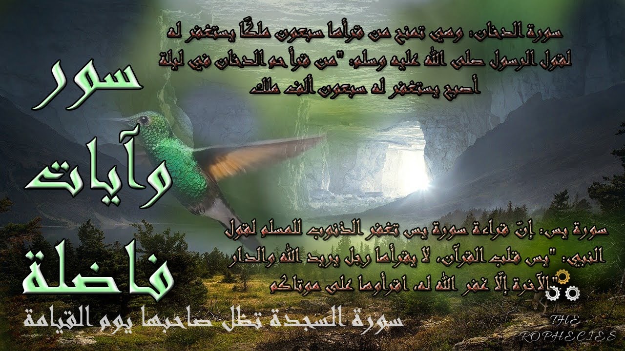 سور وآيات فاضلة لشفاء المريض Youtube