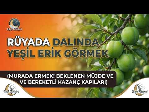🍏 Rüyada Dalında Yeşil Erik Görmek (Murada Ermek! Beklenen Müjde ve Bereketli Kazanç Kapıları)