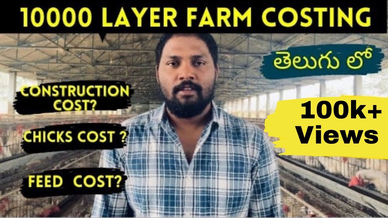 Layer Poultry Farm Business Plan || పౌల్ట్రీ Business Plan || Egg ...