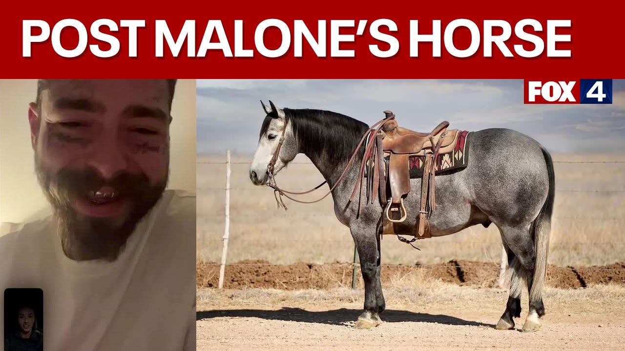 Post Malone buys Texas horse named "Ashtray" - YouTube