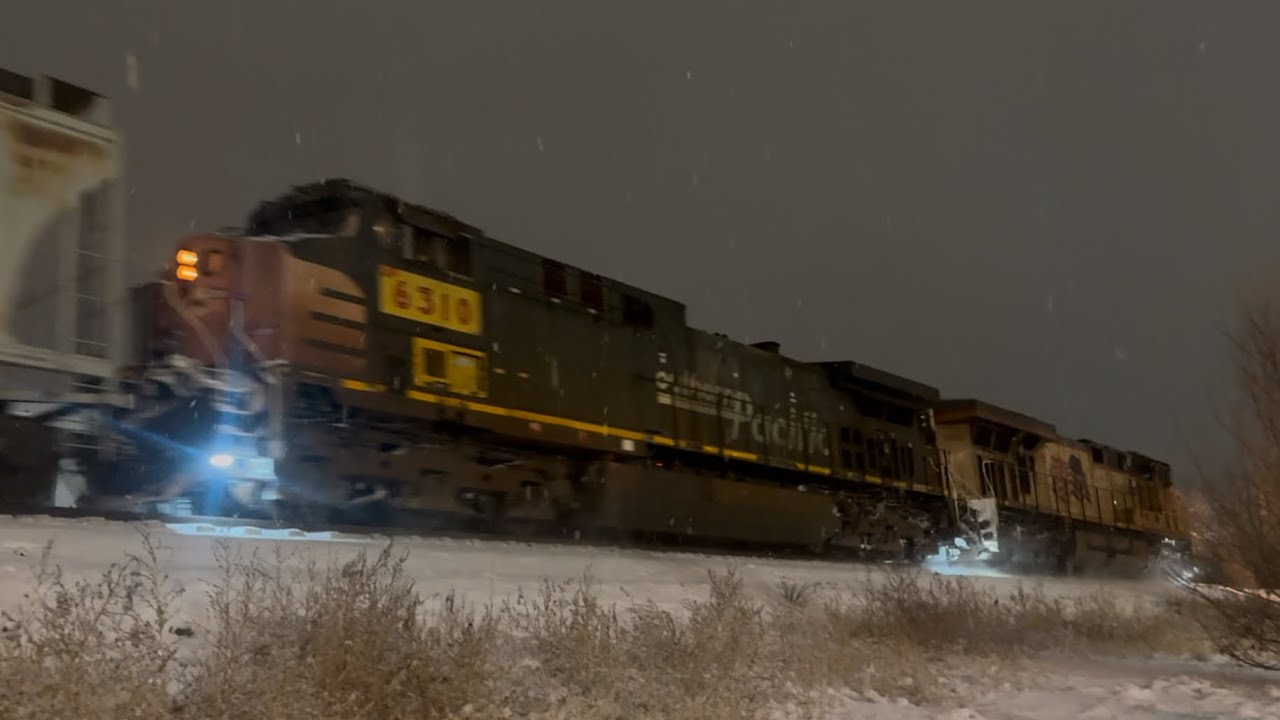 UP #7603 Lead’s The Short MPUNY-25 Through Spring’s With Form Patch SP ...