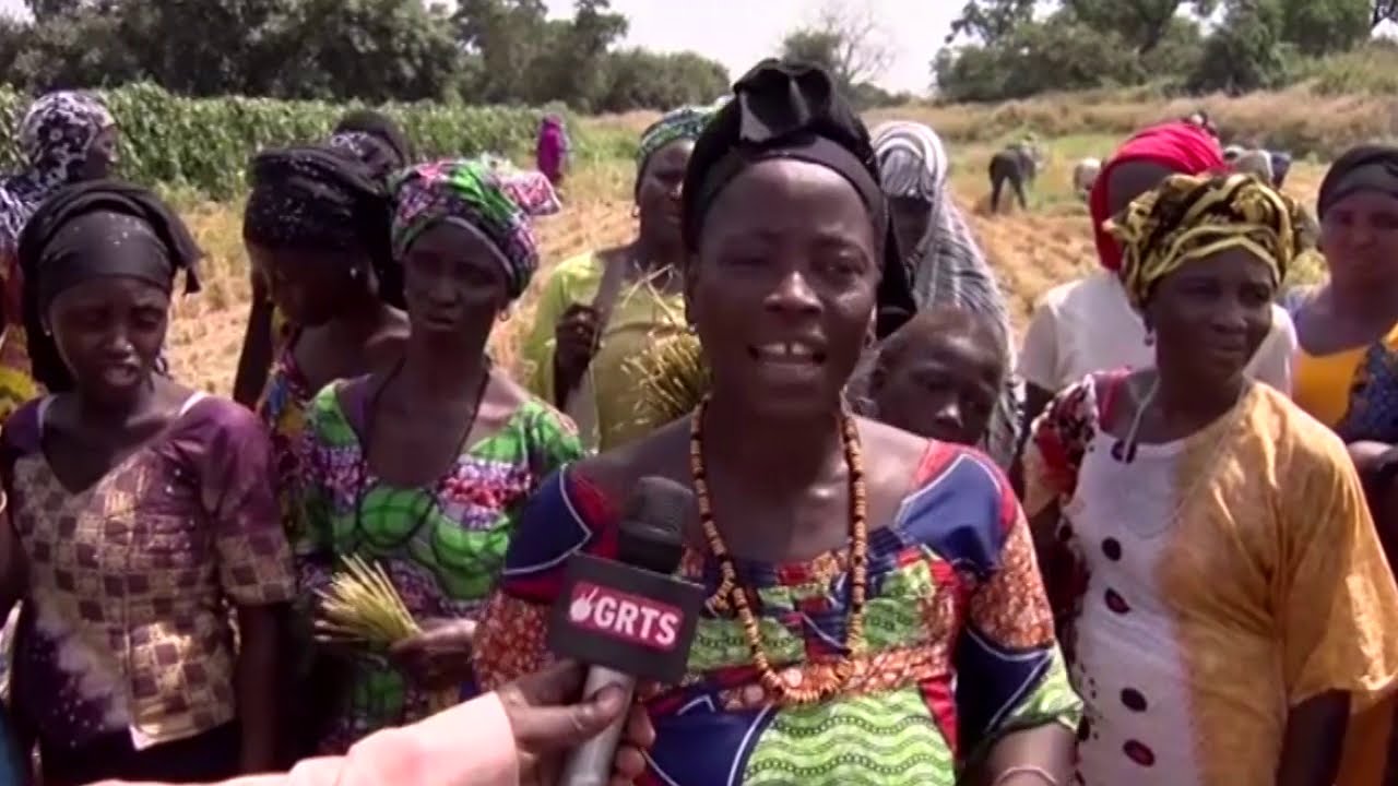 Mandinka cultural drums by women of Sandu kuwonku in the URR region of ...