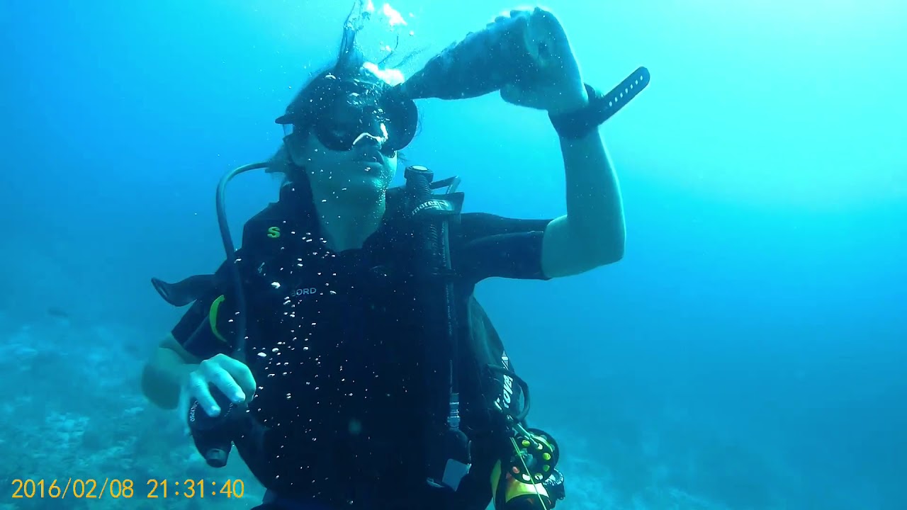 Diving in Similands & Koh Bon (Thailand) - YouTube