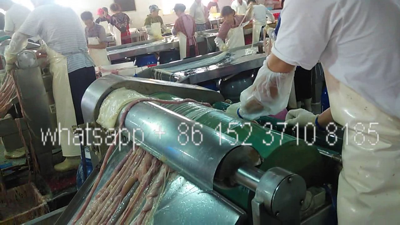 sausage intestine washing and cleaning machine sheep intestine casing ...