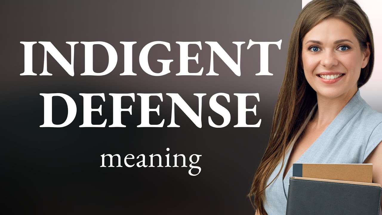 Understanding "Indigent Defense": A Guide for English Learners - YouTube