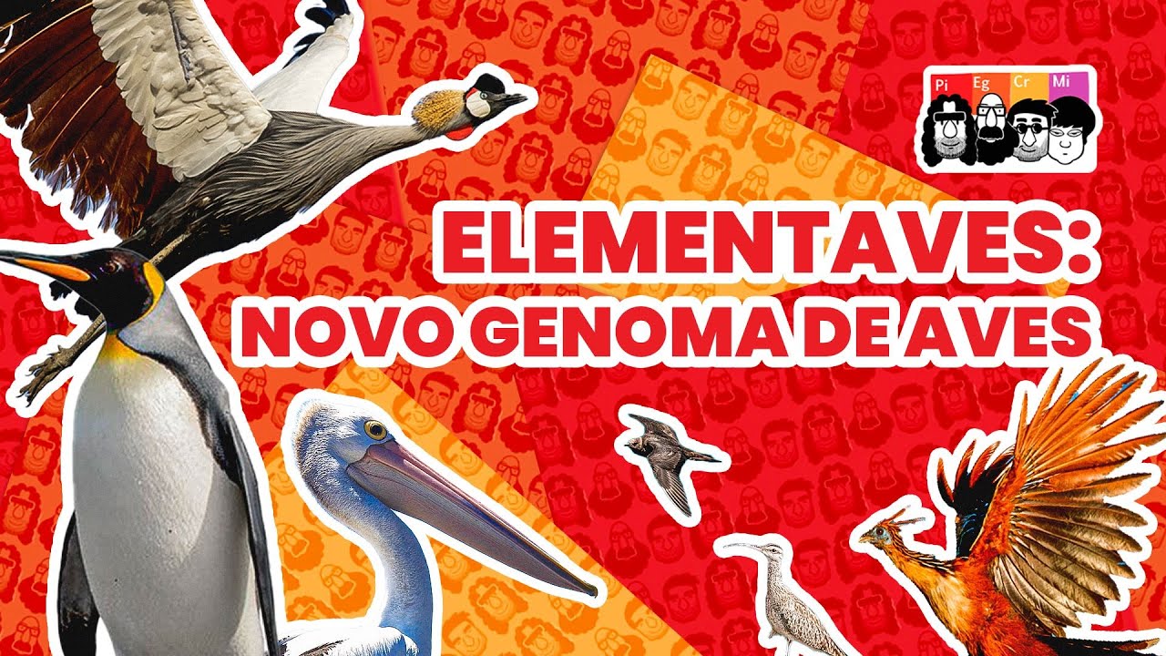 o NOVO GENOMA das AVES! o que o MAIOR ESTUDO realizado diz sobre ...
