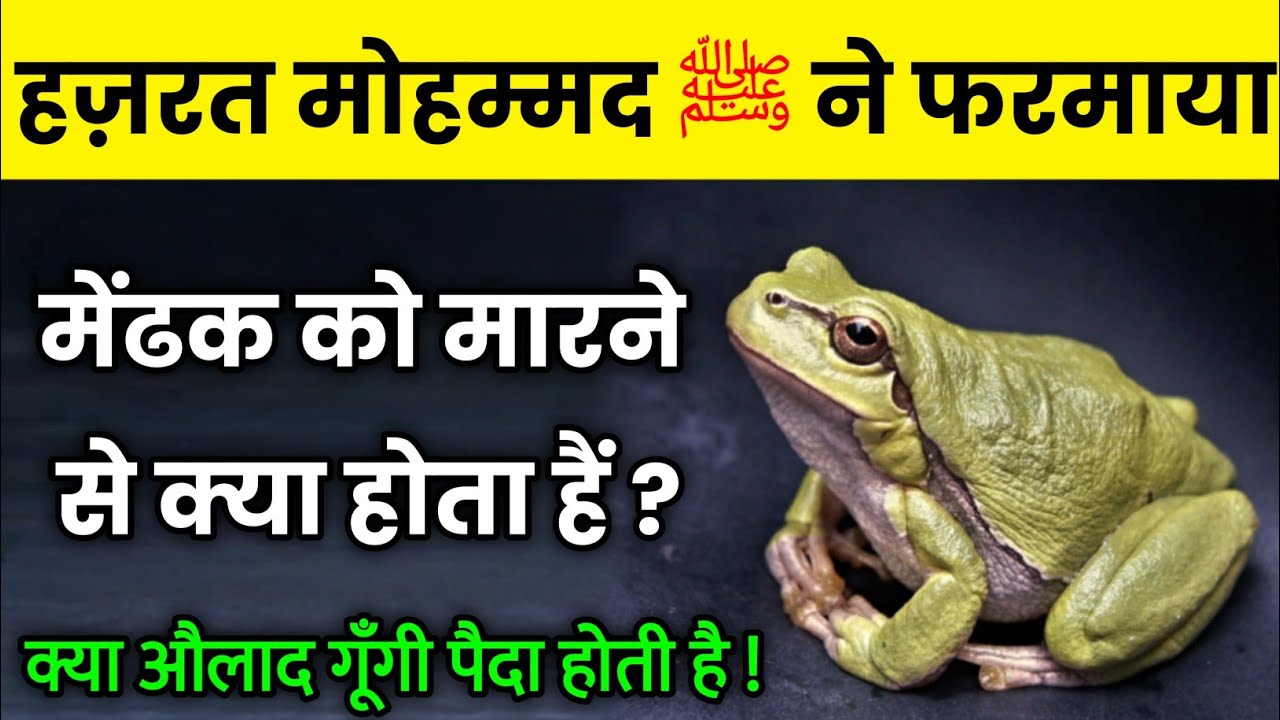 मेंढक को मारने से क्या होता हैं ? प्यारे नबी ﷺ ने फरमाया || Frog In ...