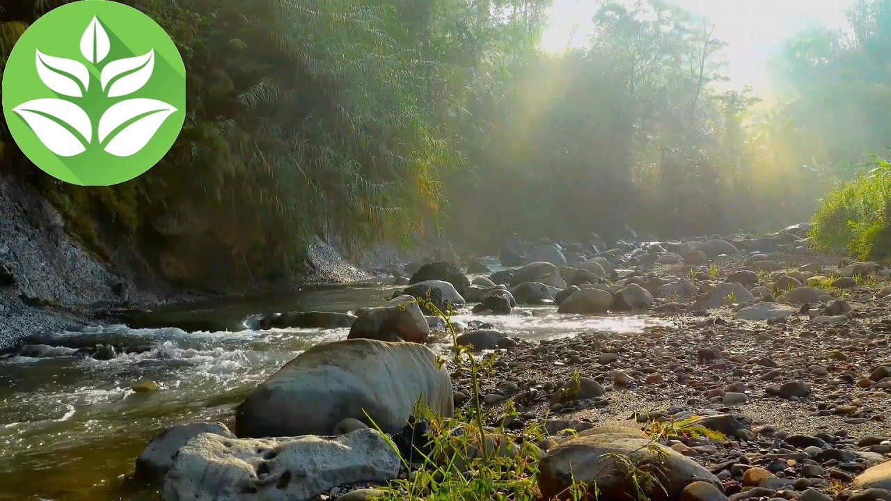 Morning. Mountain river. [10 hours] Rivers sounds (White noise for ...