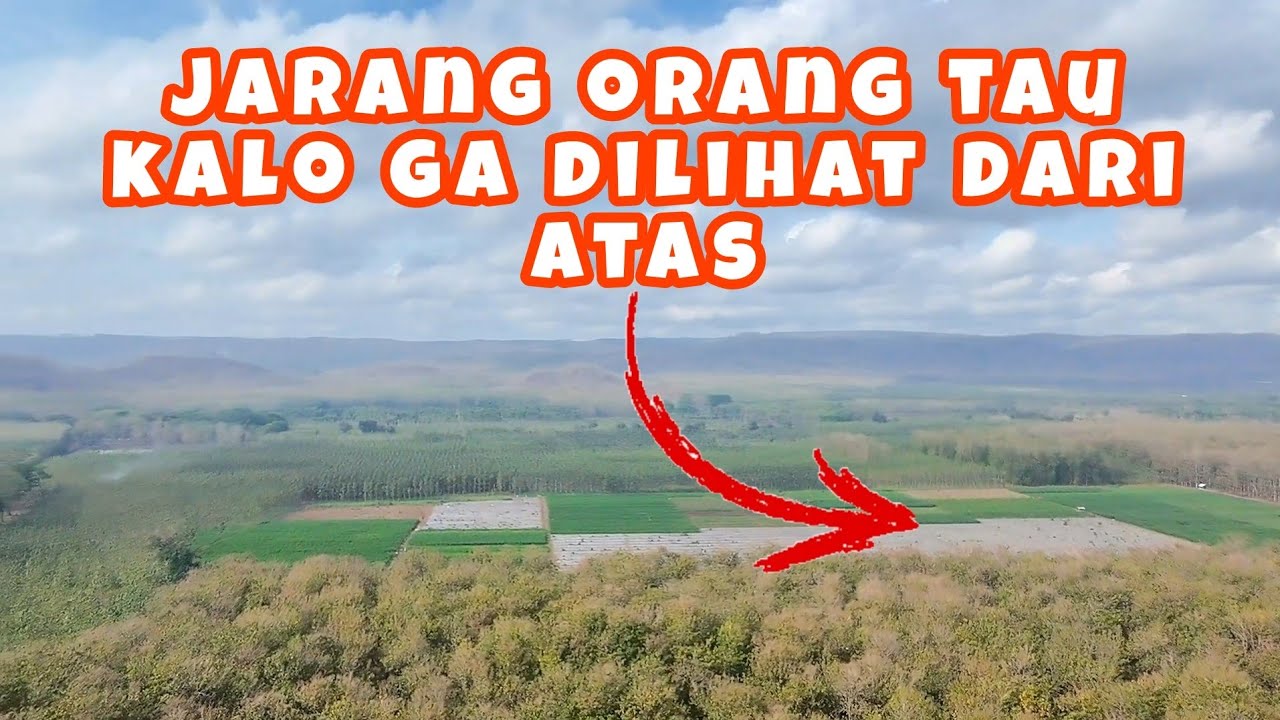 Keliling Hutan Jati Pakai Drone | Drone Vlog Blitar - YouTube