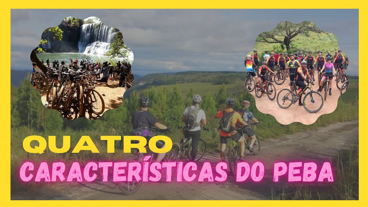 quatro características do peba [ conhecendo um peba ] #ciclismo #peba # ...
