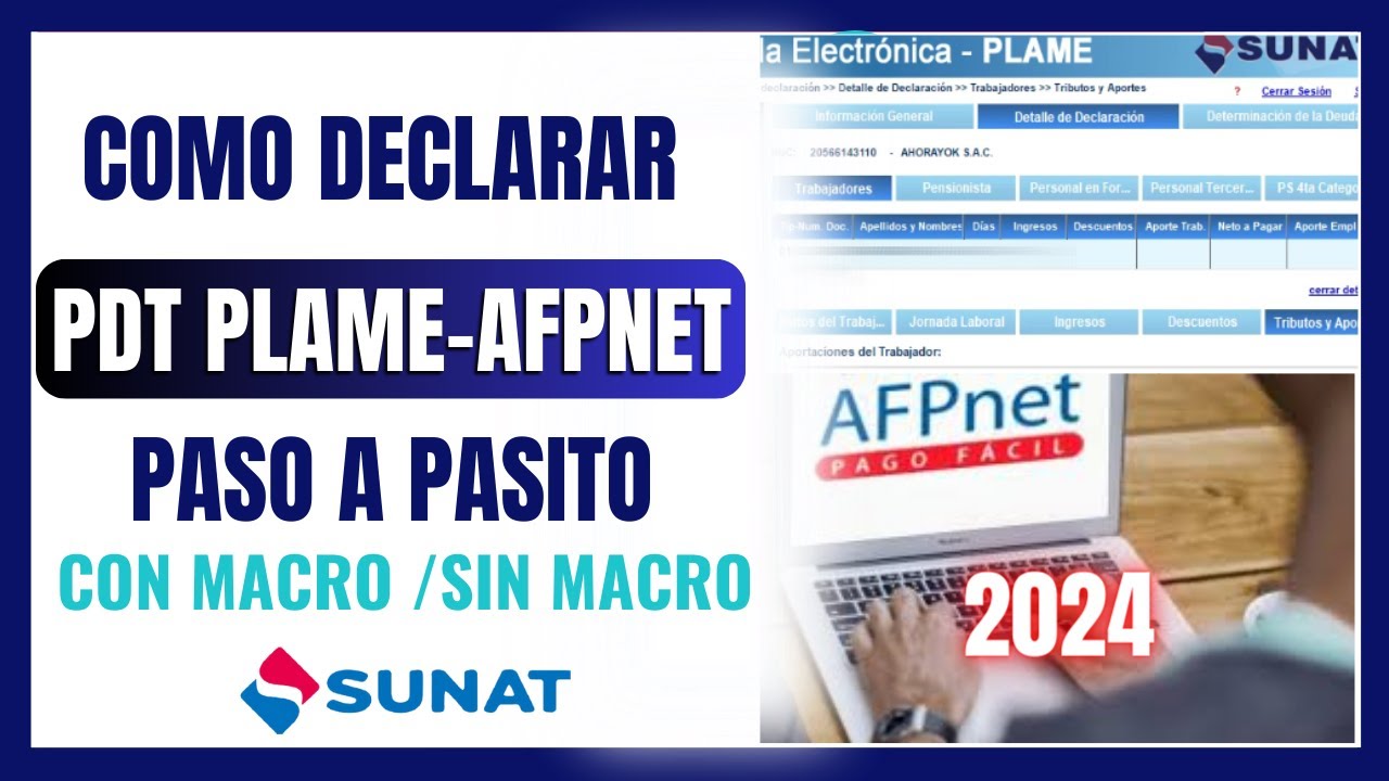 🟠 Como declarar el PDT PLAME y AFP NET 2024 | Tutorial paso a paso ...