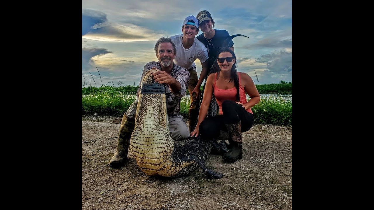 Alligator Hunting 2020 - YouTube