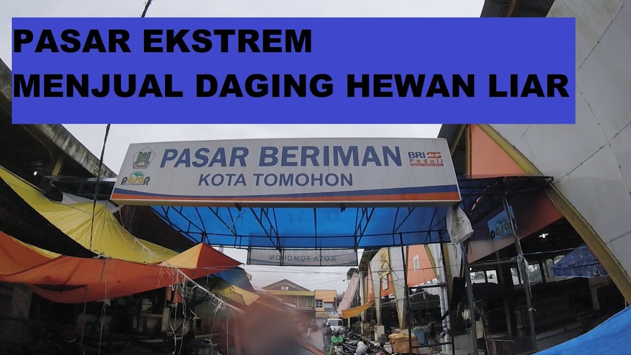 ADA APA DI PASAR EKSTREM TOMOHON YANG JARANG ORANG TAHU? - YouTube