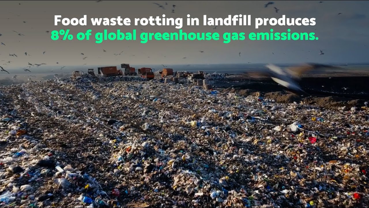 The Shocking Truth About Food Waste - YouTube