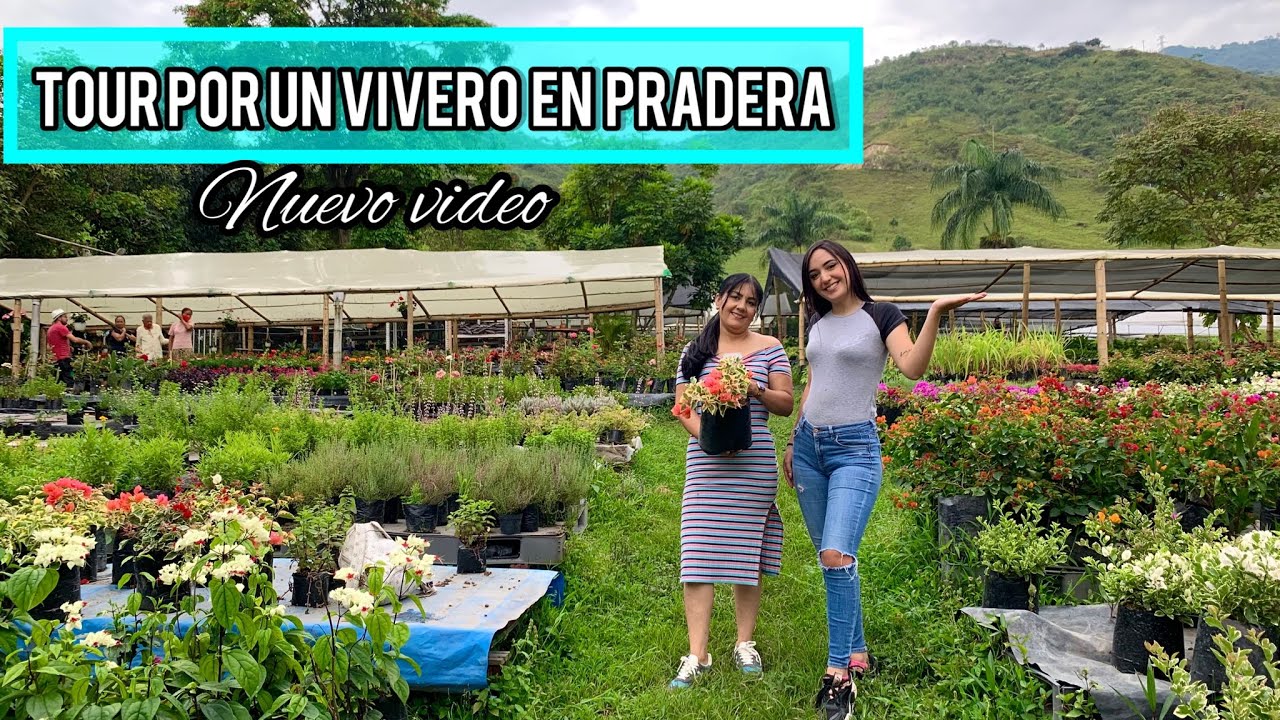 TOUR POR UN VIVERO en pradera | Tienes que verlo - YouTube