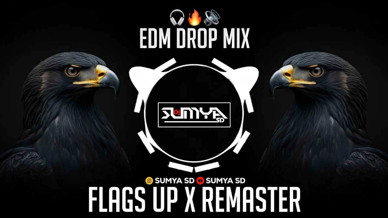 EDM DROP MIX - FLAGSS UP 💀 REMASTER TRACK | DJ OMS X VK - YouTube