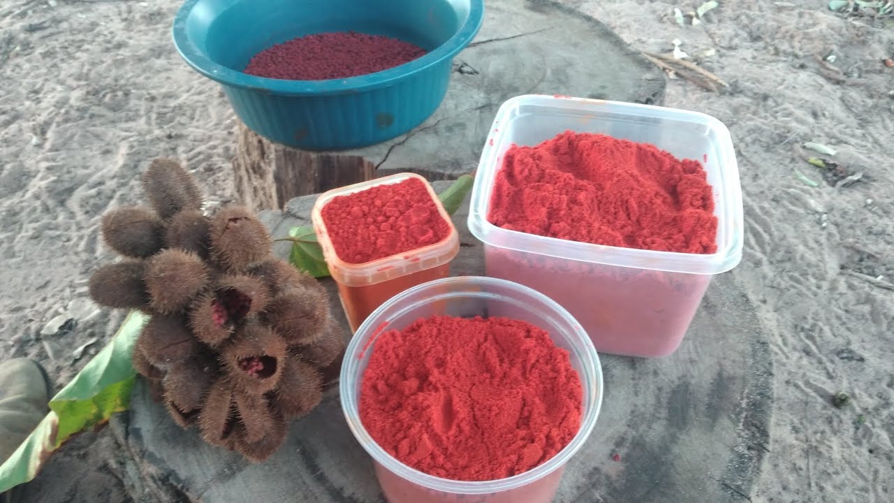 COMO EXTRAIR O COLORAU #URUCUM#CORANTE, MANEIRA MAIS FÁCIL - YouTube