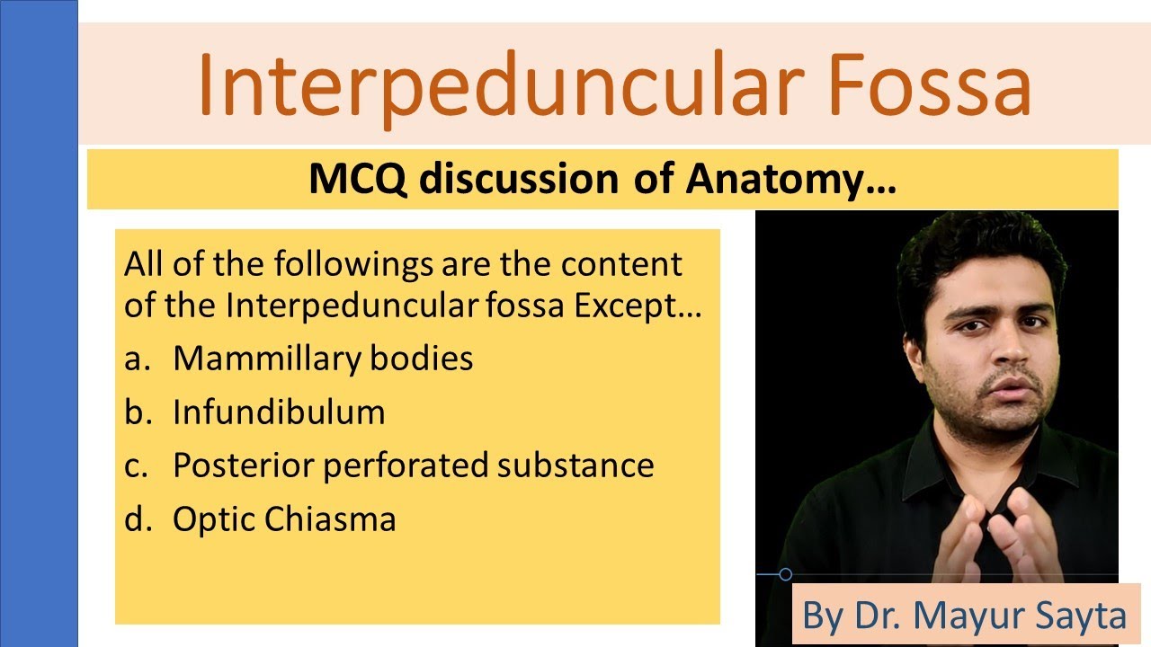 Interpeduncular fossa Anatomy - YouTube