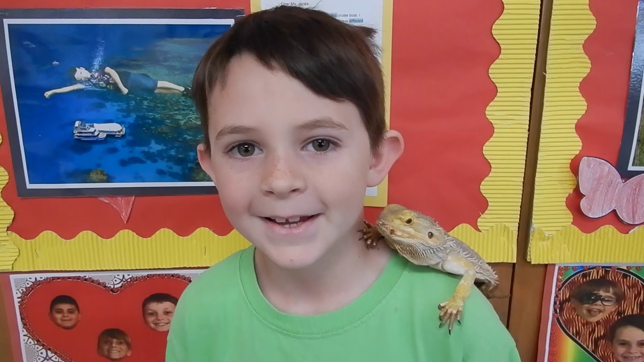 Our Class Pet Contest Entry - YouTube