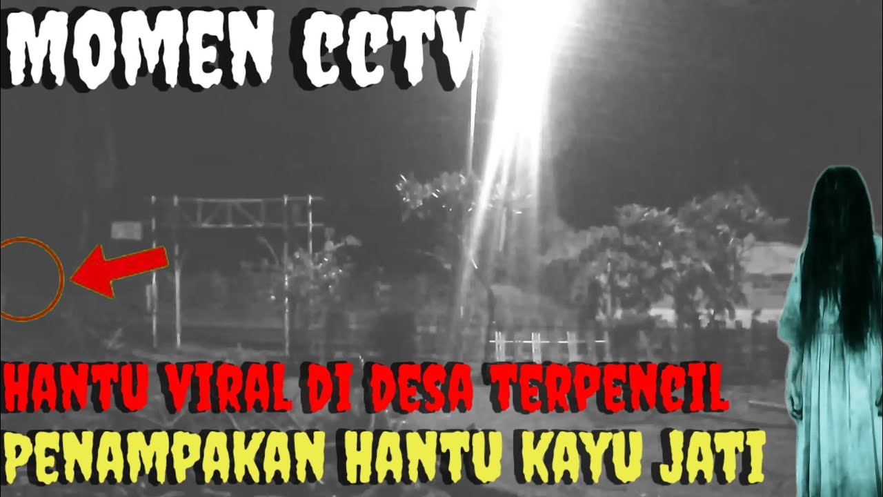 experiment hantu viral di sebuah jalan umum || Hantu kayu jati || momen ...