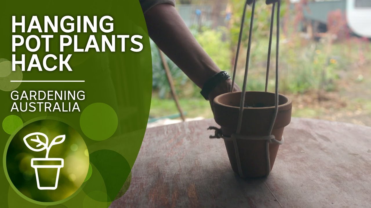Make Your Own Plant Pot Hanger With Just One Cord Gardening Hacks Gardening Australia YouTube Make Your Own Plant Pot Hanger With Just One Cord Gardening Hacks Gardening Australia YouTube
