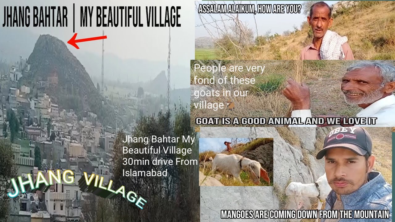 MY VILLAGE JHANG BAHTAR | |Vlog interview Bakri ka shop | - YouTube