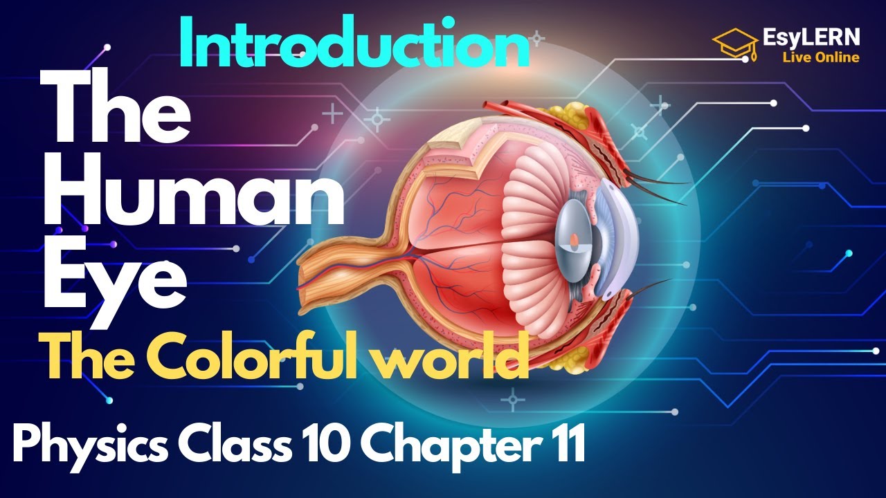 Class 10 PHYSICS | Introduction To Human Eye And Colorful World | By ...