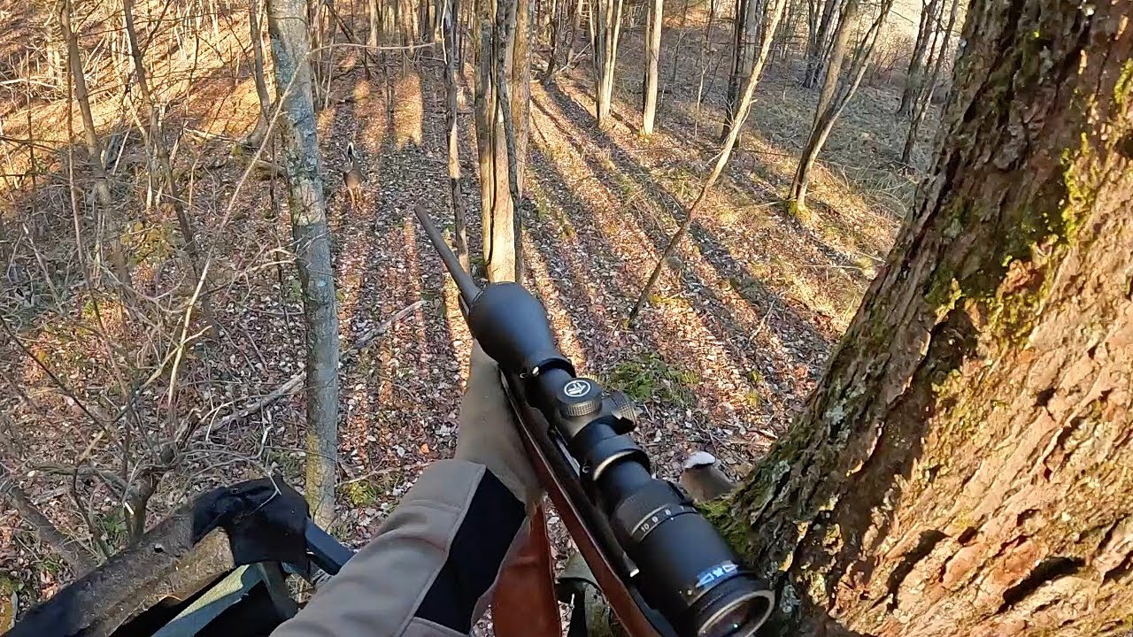 Deer Drive Success! PA Rifle Deer Hunting Season 2024 - YouTube