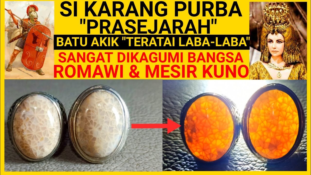 BATU AKIK "TERATAI LABA-LABA" SI KARANG PURBA "PRASEJARAH" DIKAGUMI ...