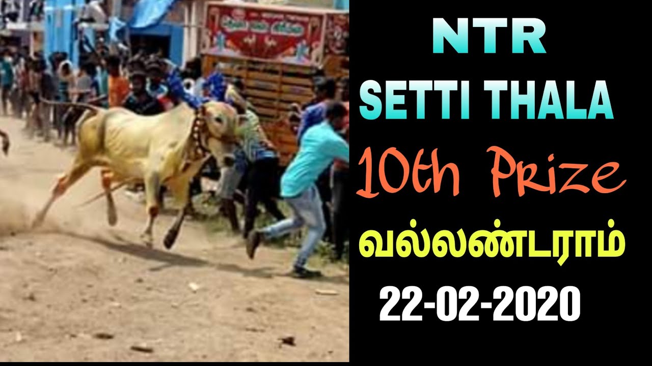 NTR Setti Thala Won 10th Prize In Valandram |22-02-2020| Maadu Vidum ...