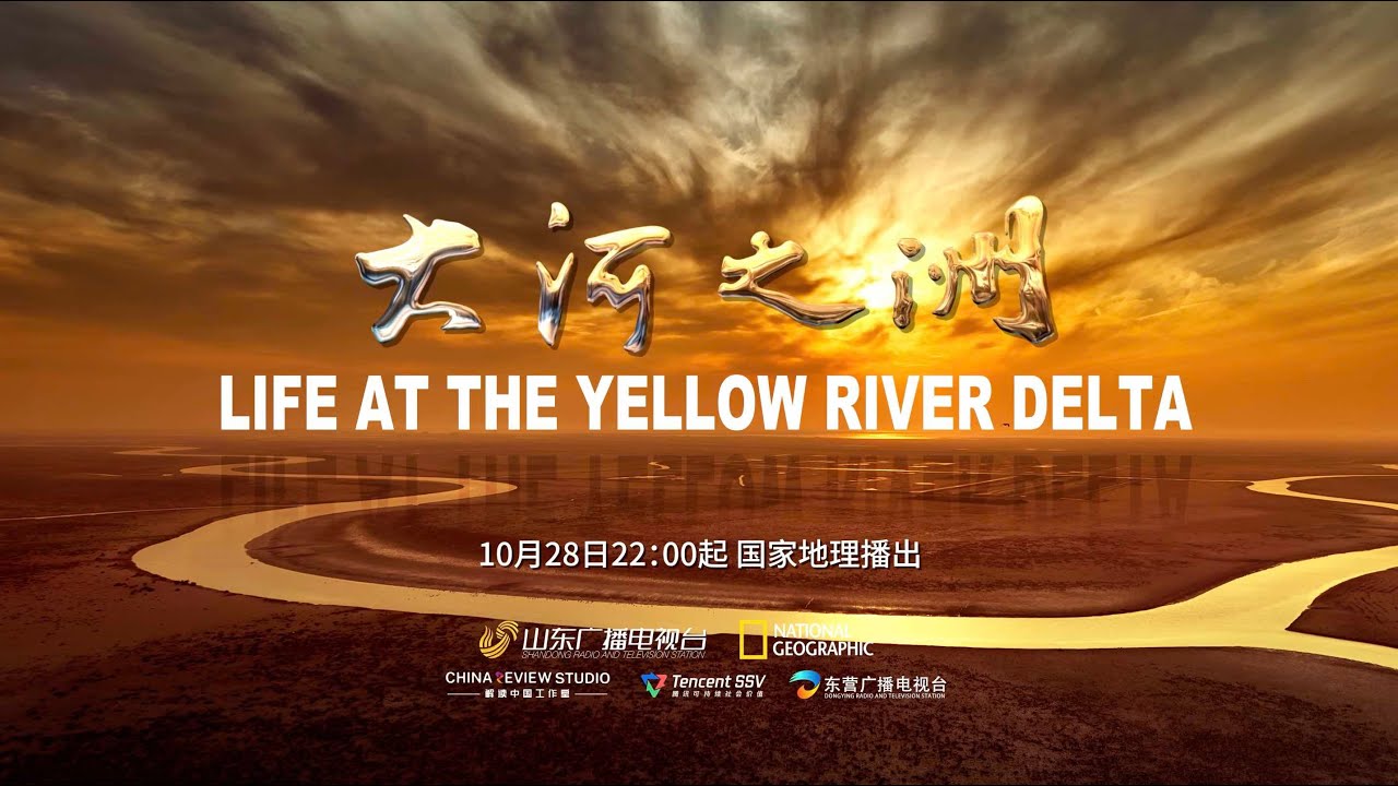 Yellow River Delta
