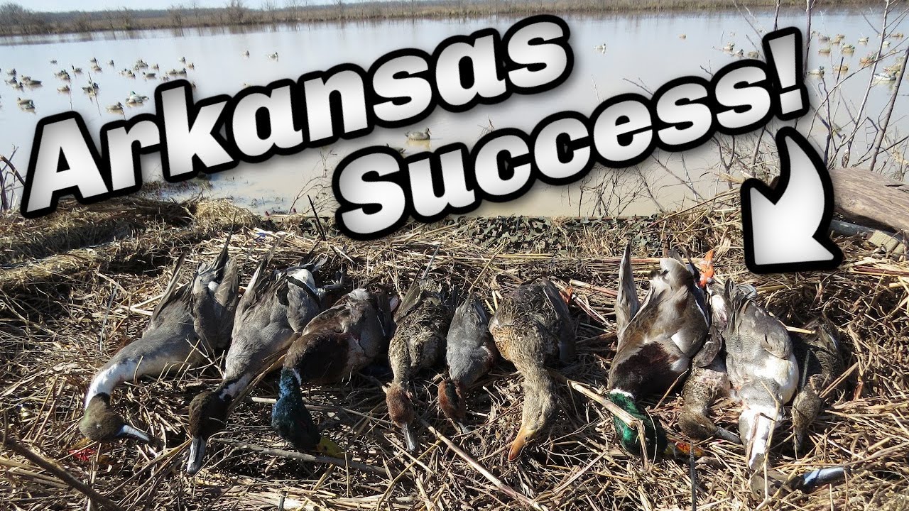 Duck Hunting - BULL SPRIGS and GreenHeads Doing it right! In a FLOODED ...