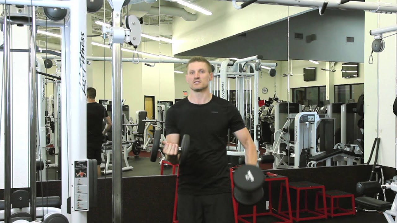 How to do Static Bicep Curl - YouTube