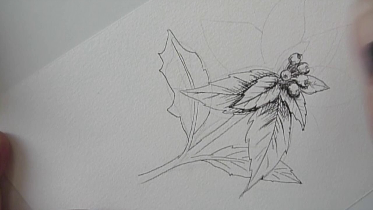 Drawing a Poinsettia - YouTube