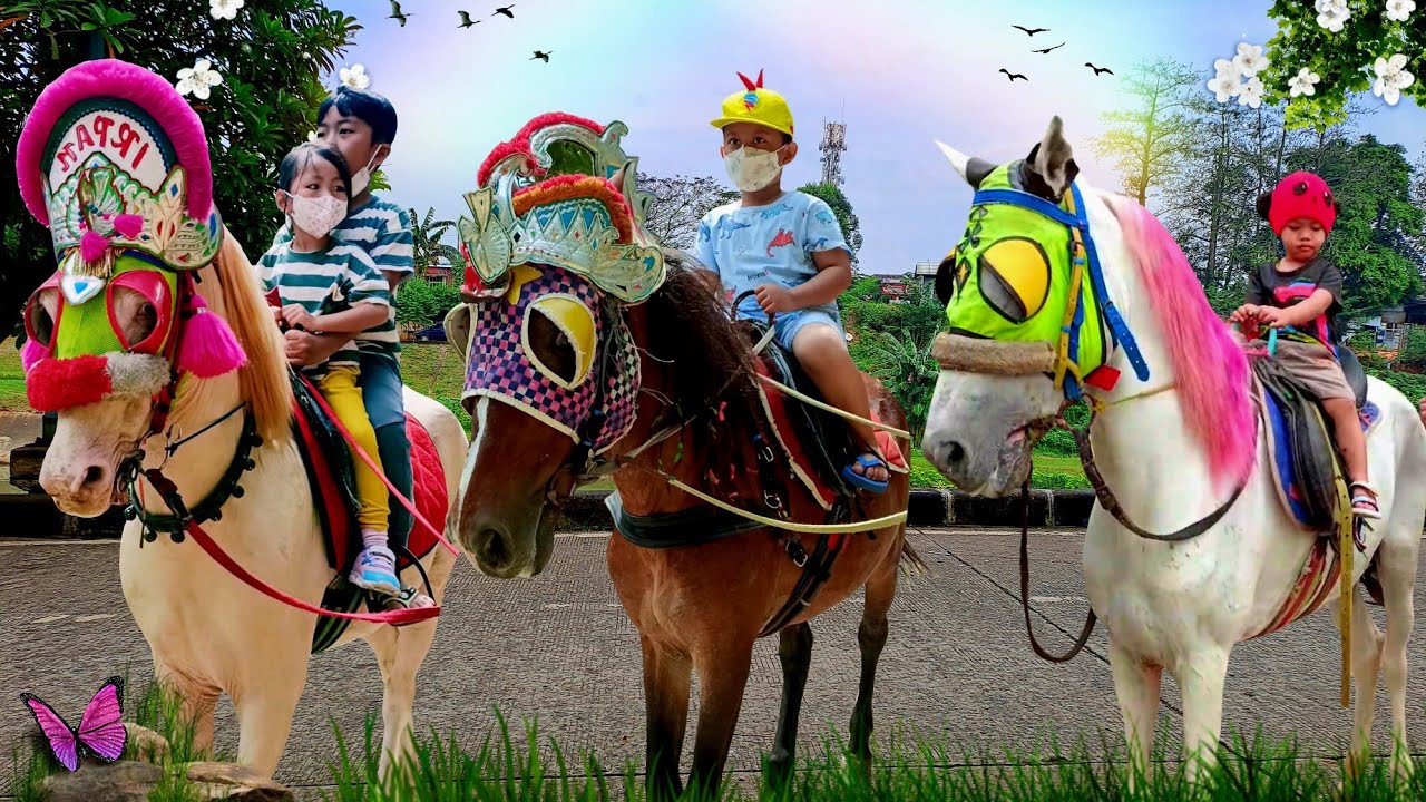 Kuda Idola di pintu air BKT Malaka ada Kuda putih rambut ping, kuda ...