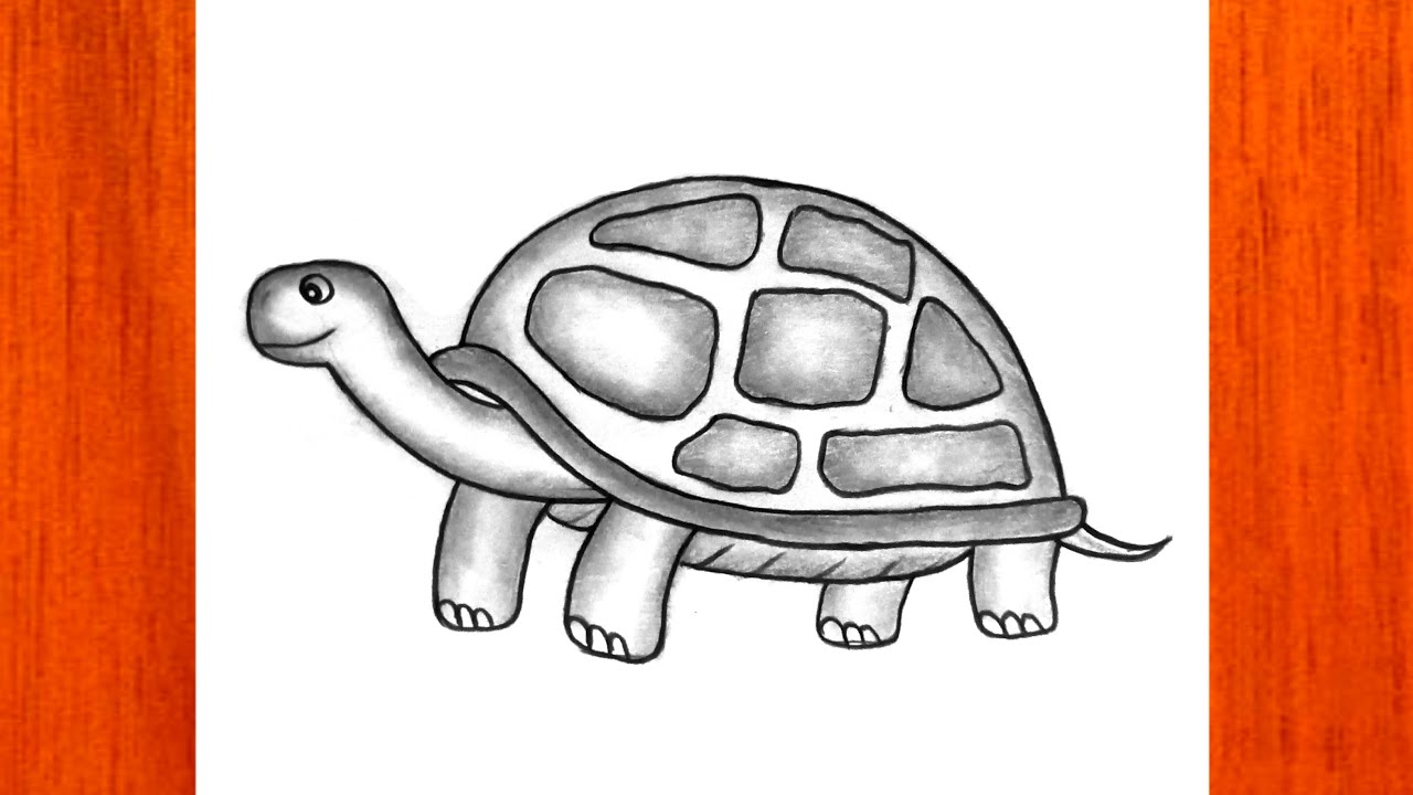 Tortoise Drawing Simple || How to draw Tortoise Easy || Tortoise ...