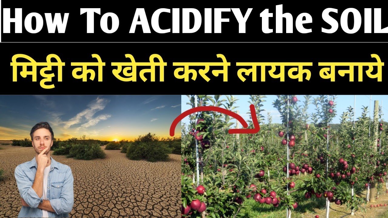 How To Acidify The Soil ll How To Increase The Ph Of Soil ll How To Decrease The Ph Of Soil ll ...