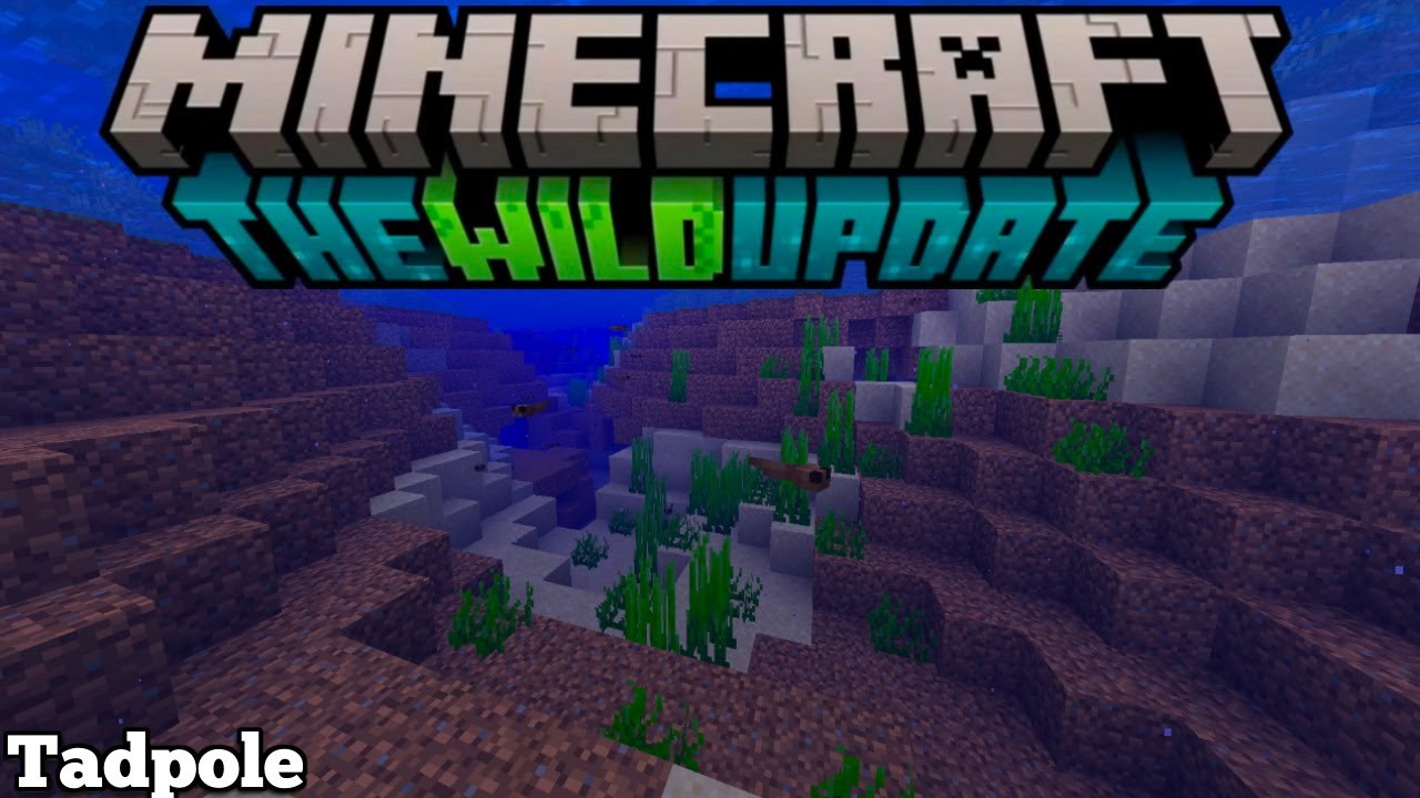 HOW TO FIND TADPOLES IN MINECRAFT 1.19 - THE WILD UPDATE - YouTube