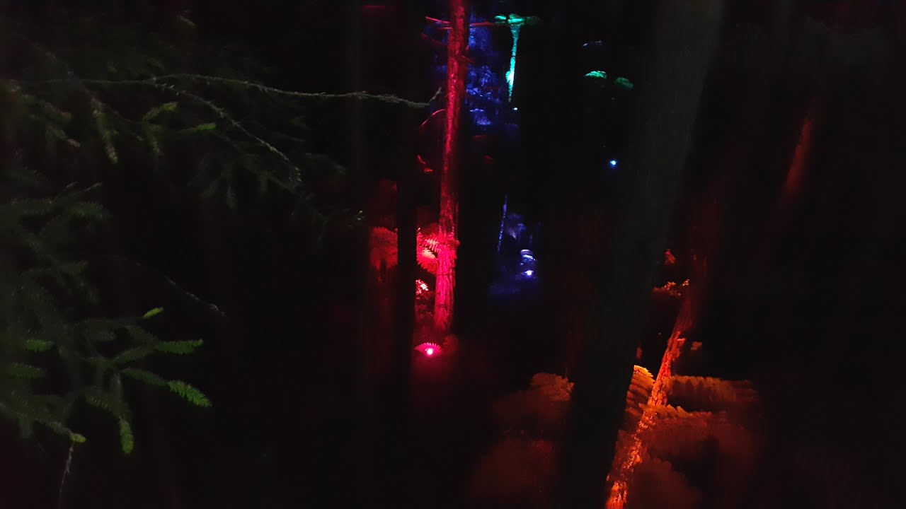 Redwoods Treewalk Nightlights - Rotorua - YouTube