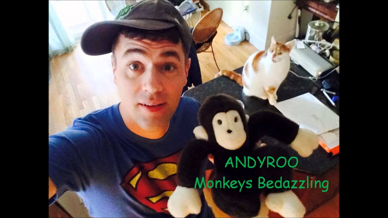 ANDYROO - Monkeys Bedazzling - YouTube