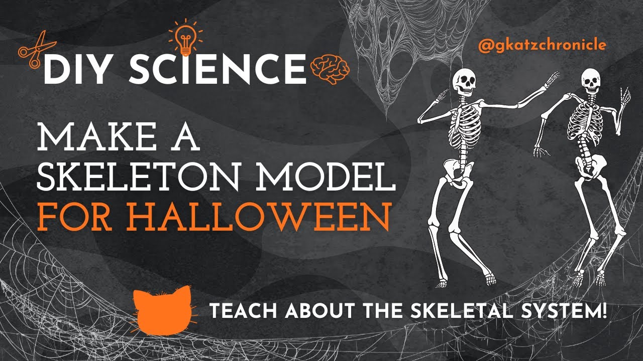 Science DIY: Make a Skeleton Model & Teach about the Skeletal System ...