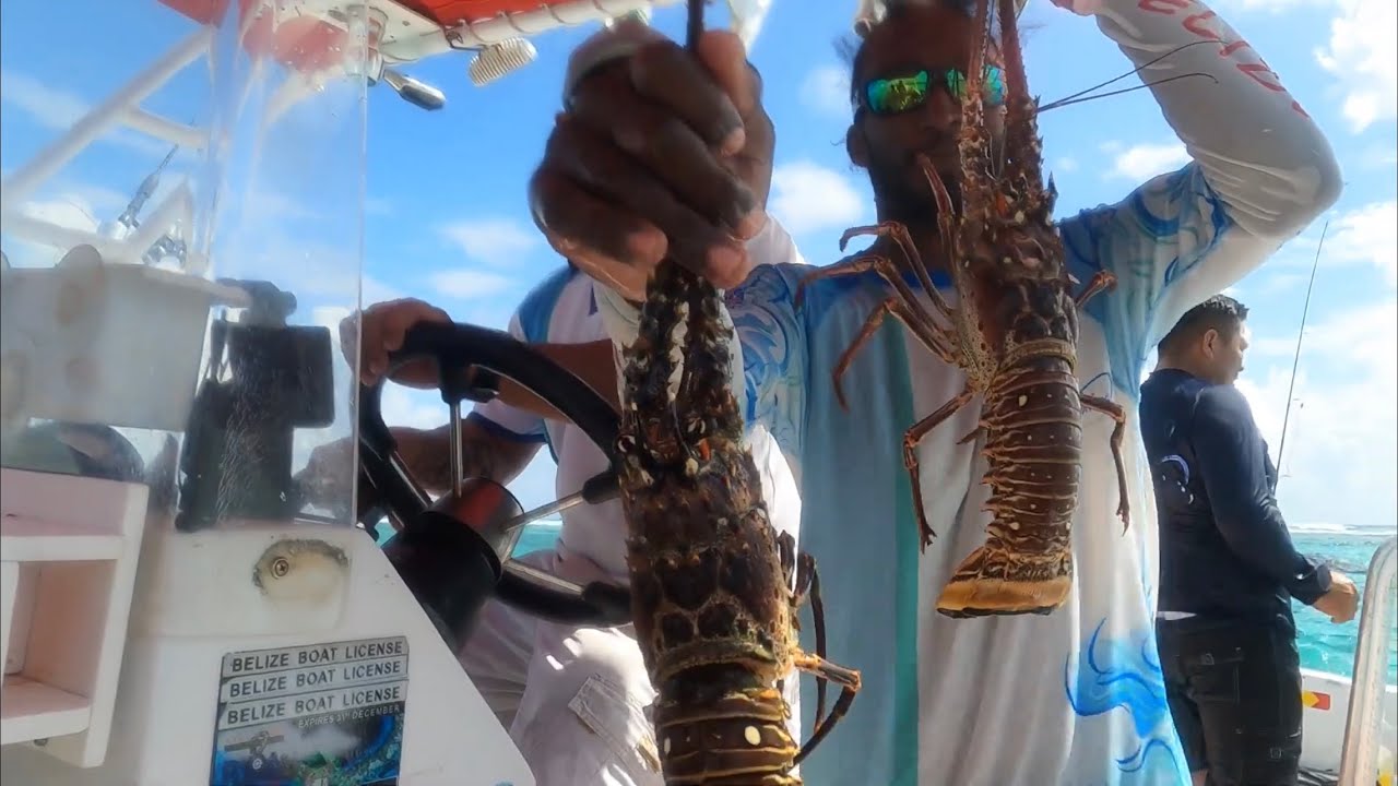 Lobster & Conch Diving San Pedro Belize - YouTube