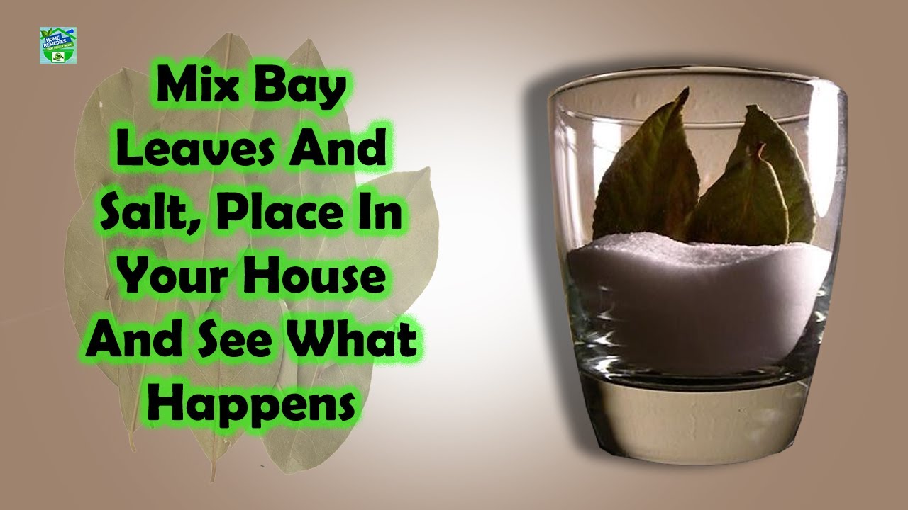 Mix Bay Leaves And Salt, Place In Your House And See What Happens - YouTube