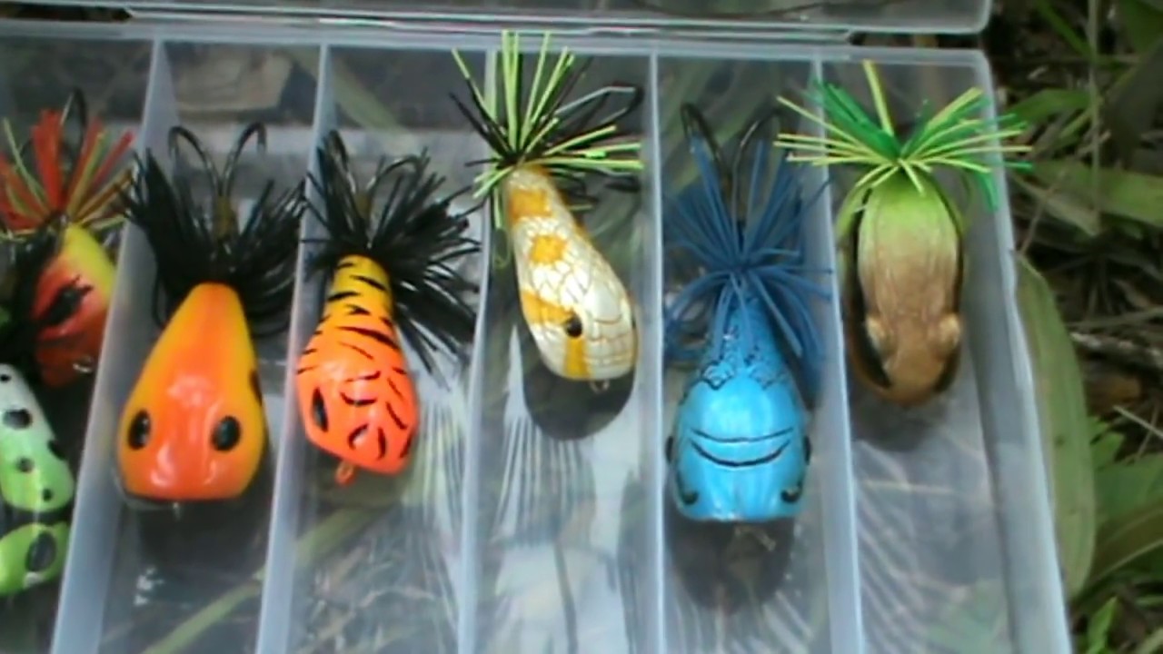 Casting Gabus Top Water Mimix Naga Jump 50 - Test Lure - CnR - YouTube