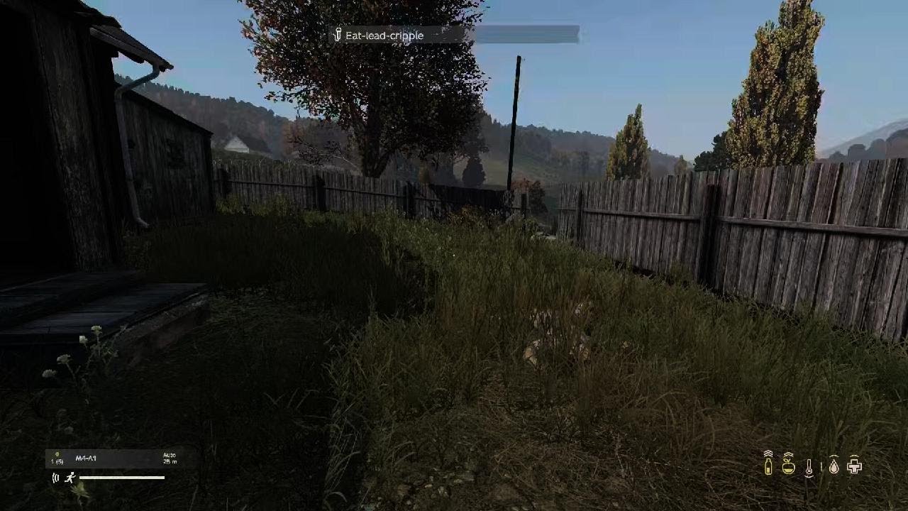 DayZ ps5 la lar devenue aussi forte qu'un sporter ? - YouTube