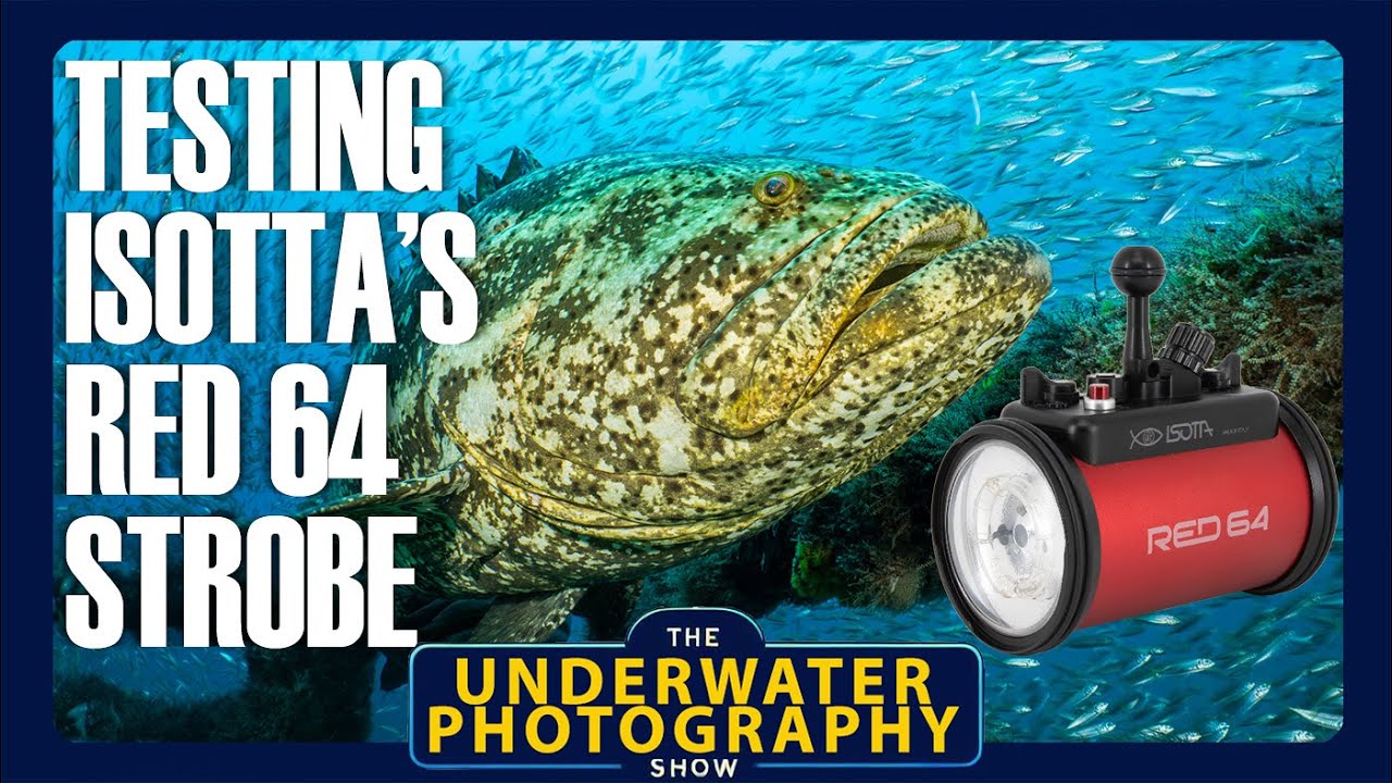 First Impressions of the Isotta RED 64 Strobes - YouTube