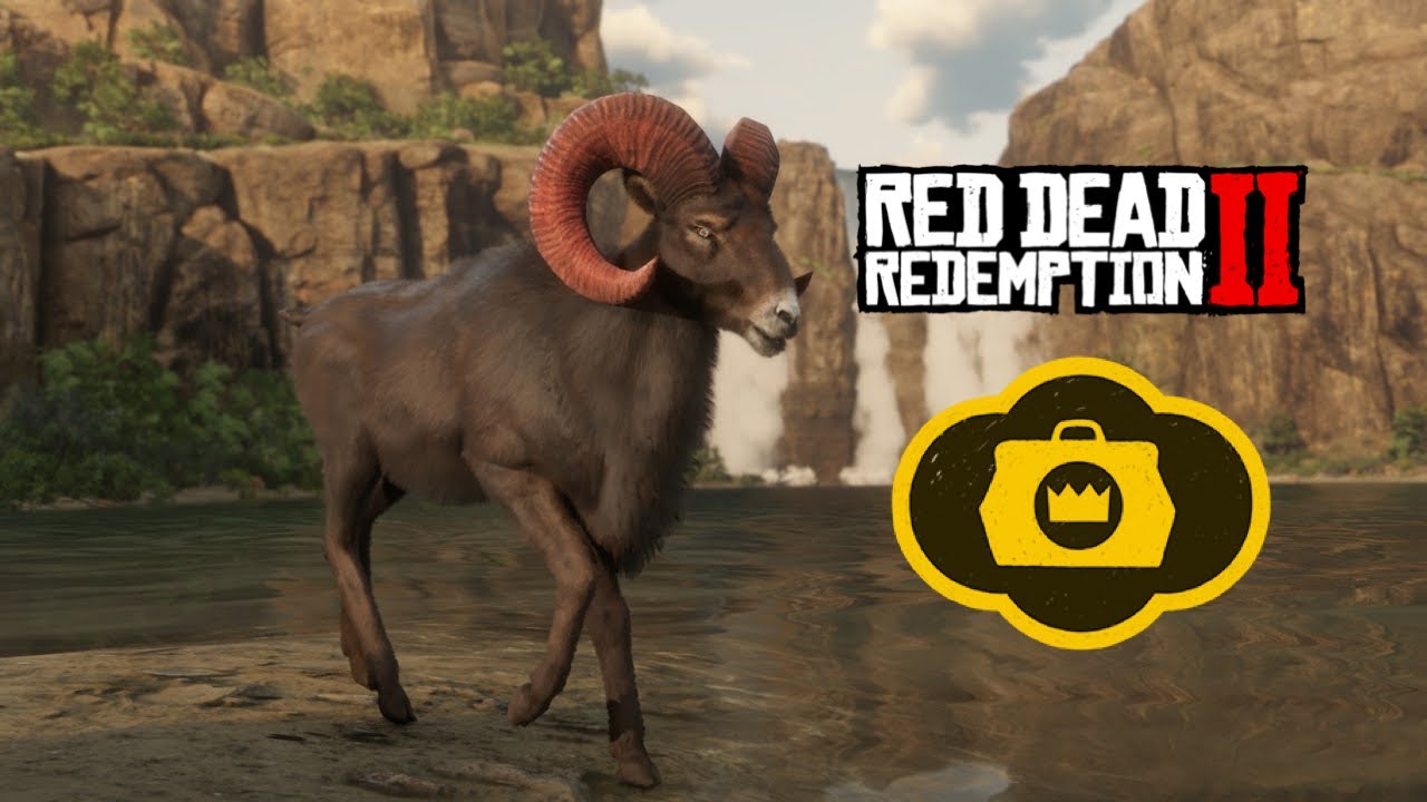 Legendary Chalk Horn Ram Location | Red Dead Redemption Online - YouTube