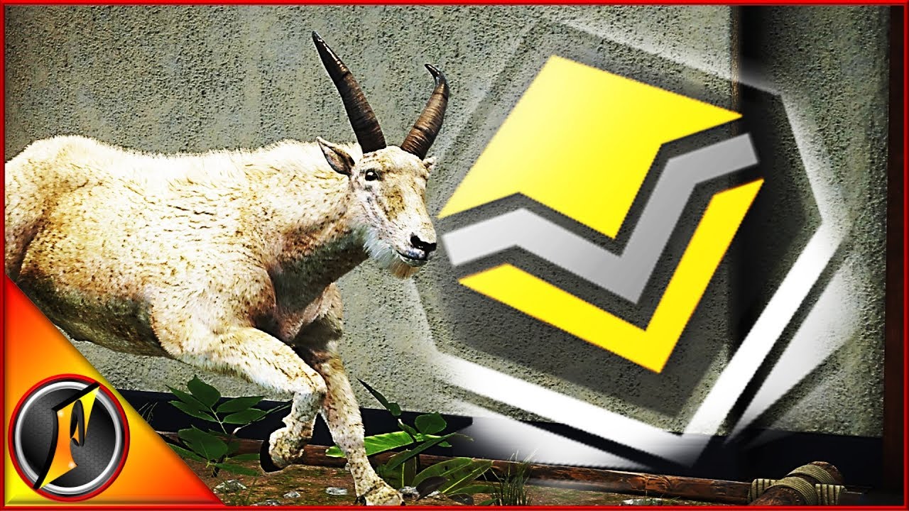 First Diamond Mountain Goat!?! - YouTube