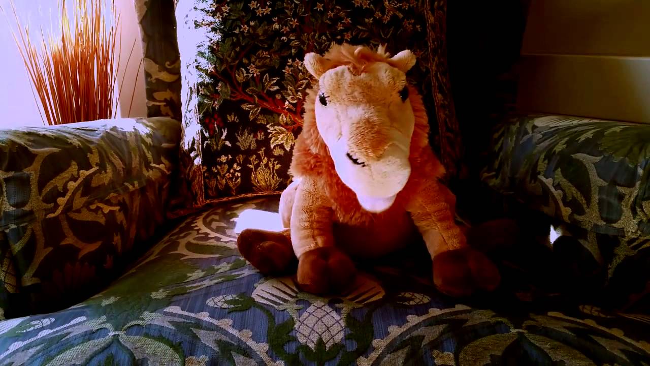 My singing camel ♪ ☺ ♫ - YouTube